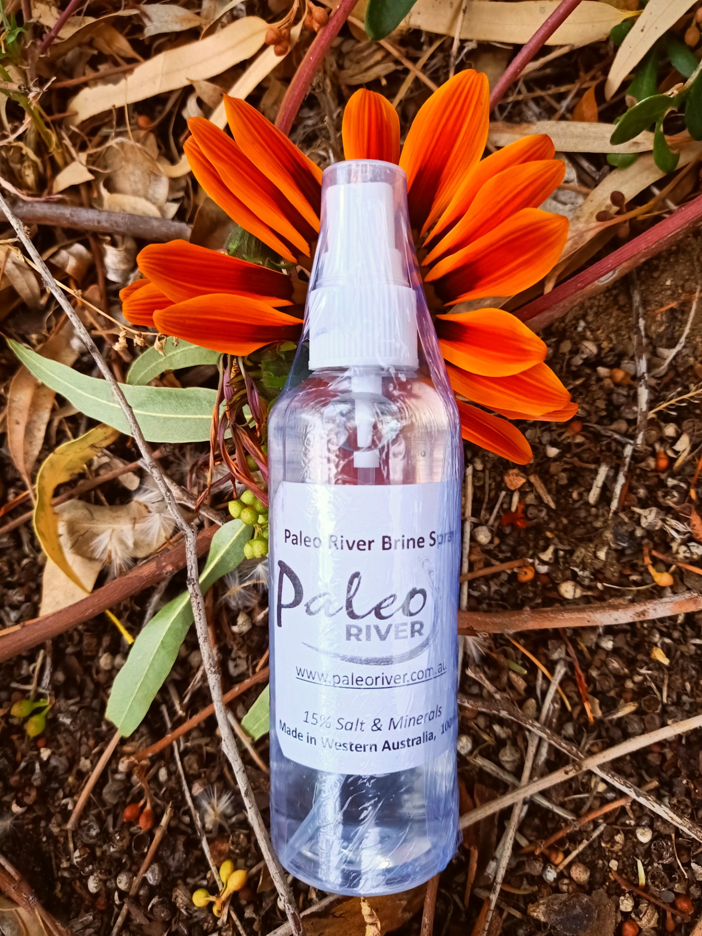 Brine Spray with 13% Salt and Minerals - 100ml - Mizzi's